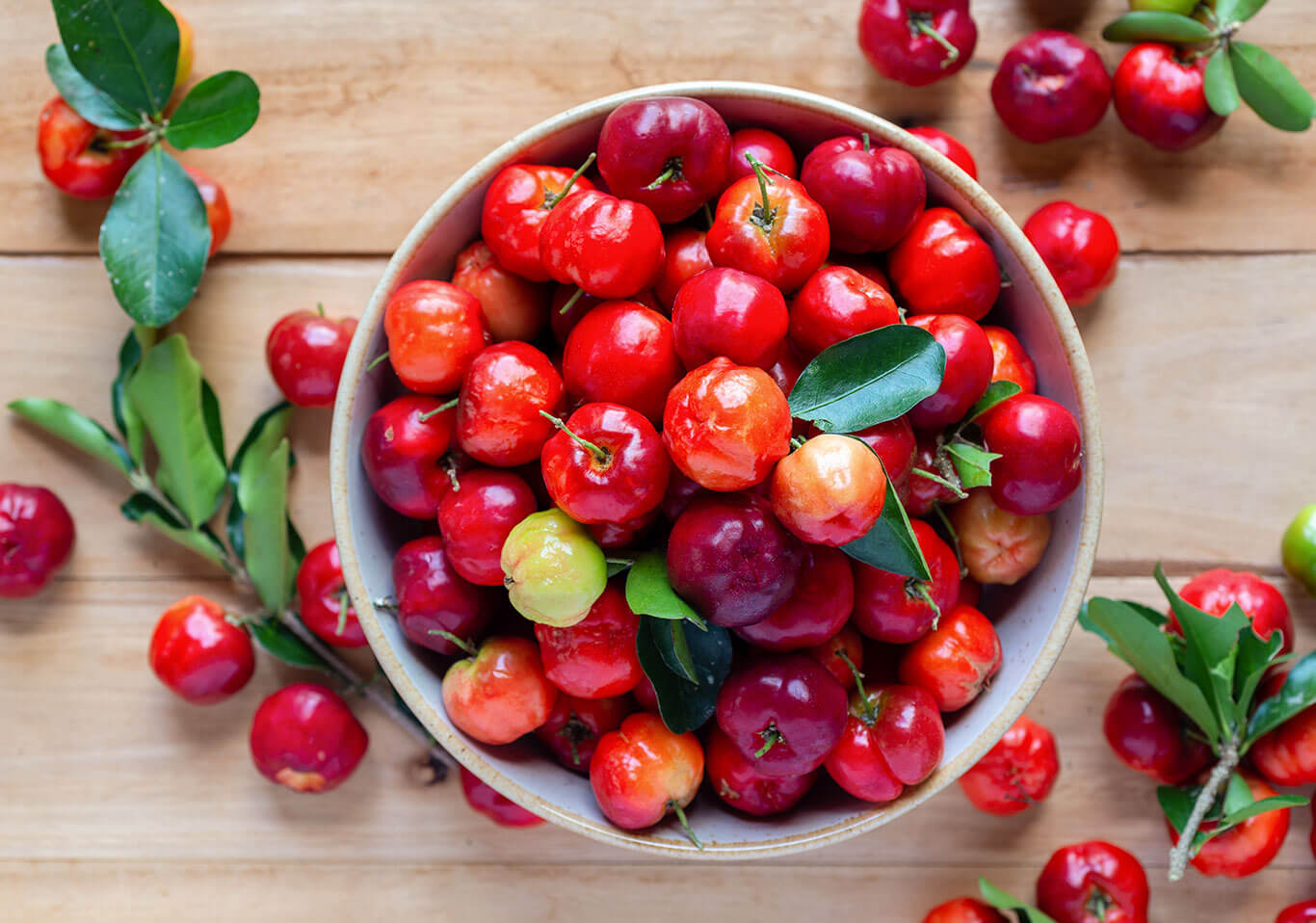 Wenda Ingredients, Functional Ingredients for Meat, Poultry, and More