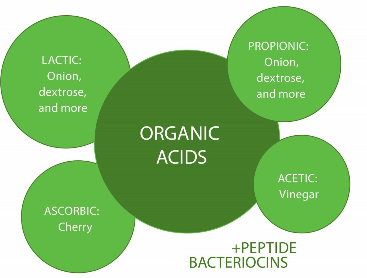 Antimicrobials, Evolving for Modern Consumerism - Wenda Ingredients